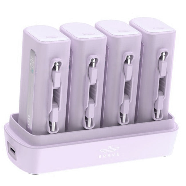 Order Brave 4-in-1 Charging Station with 4x 5000mAh Portable Chargers ...